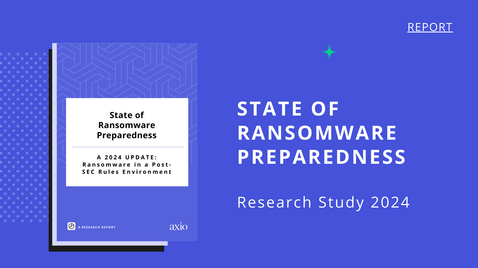 State of Ransomware Preparedness - A 2024 Update